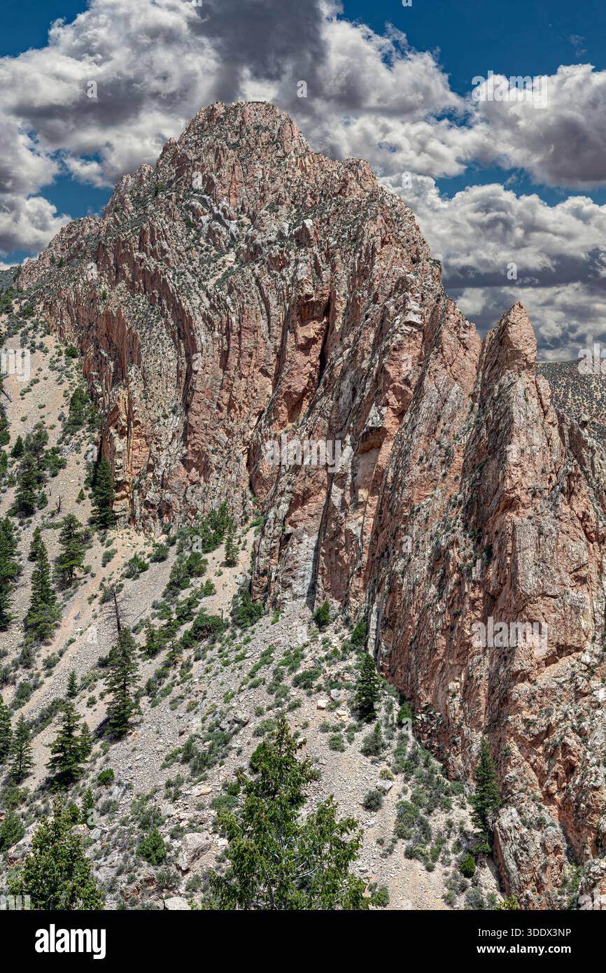 The Morgan Formation is prominently exposed in the Sheep Creek Canyon ...