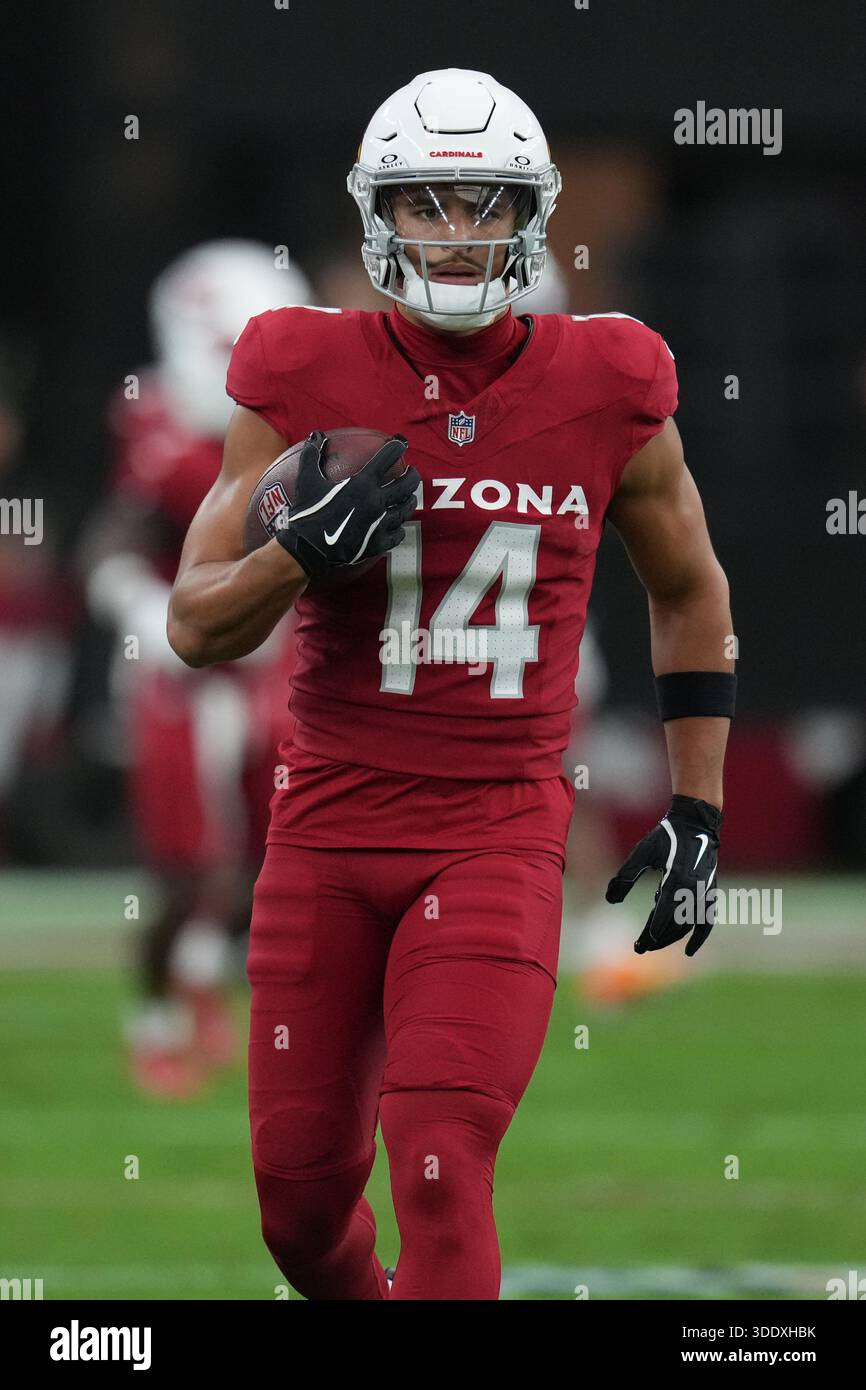 Arizona Cardinals wide receiver Michael Wilson (14) during an NFL ...