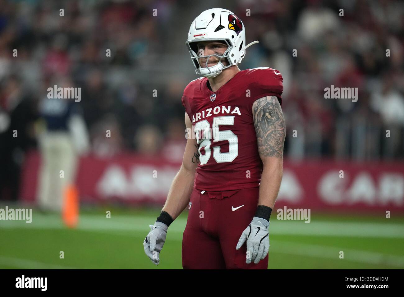 Arizona Cardinals tight end Trey McBride (85) during an NFL football ...