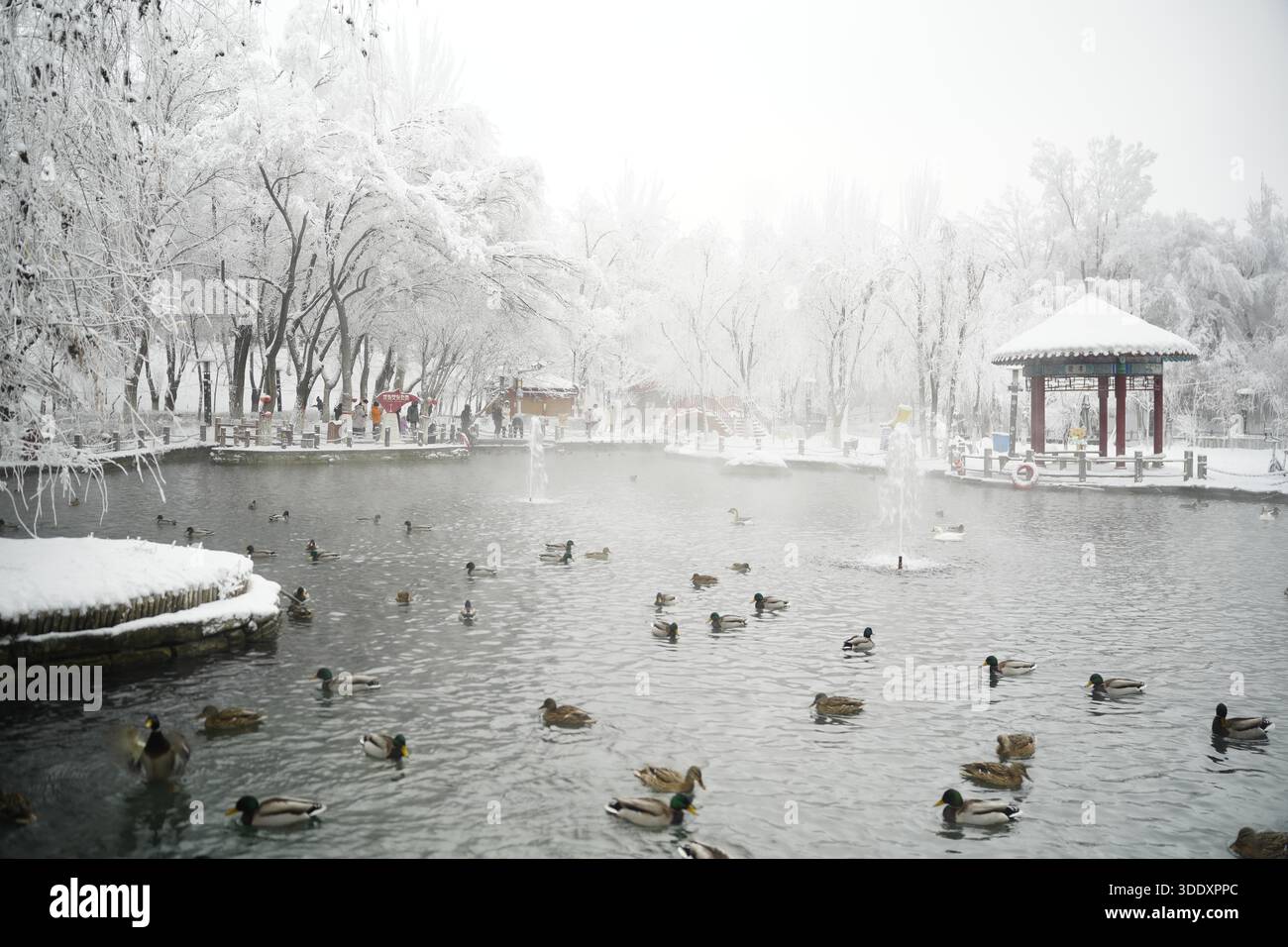 **CHINESE MAINLAND, HONG KONG, MACAU AND TAIWAN OUT**Rime scenery ...