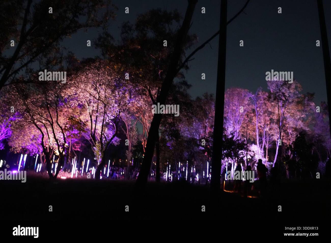 People walk amid decorative illumination at Chapultepec Park in Mexico ...
