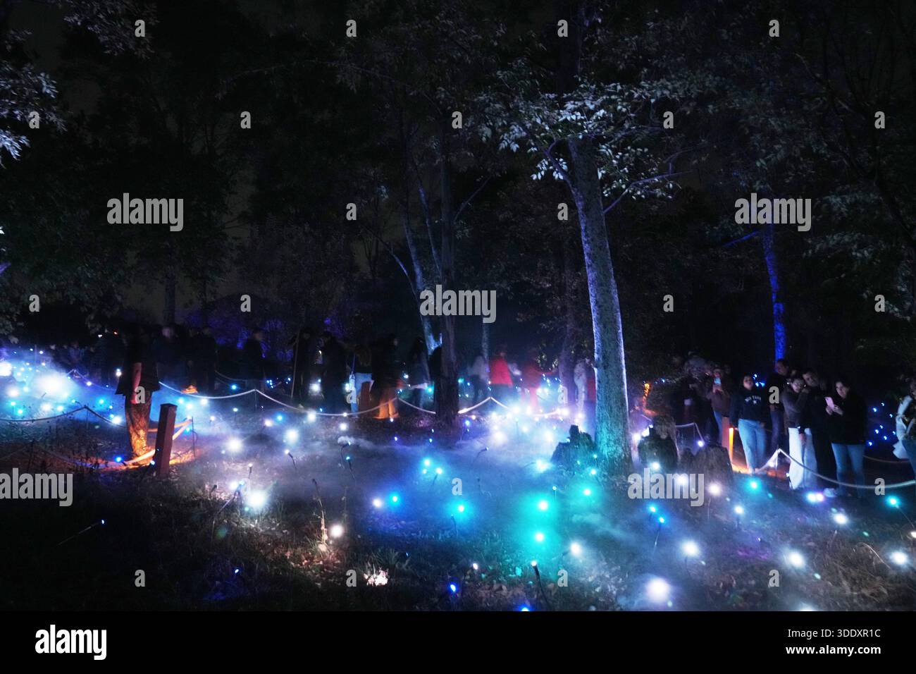 People walk amid decorative illumination at Chapultepec Park in Mexico ...