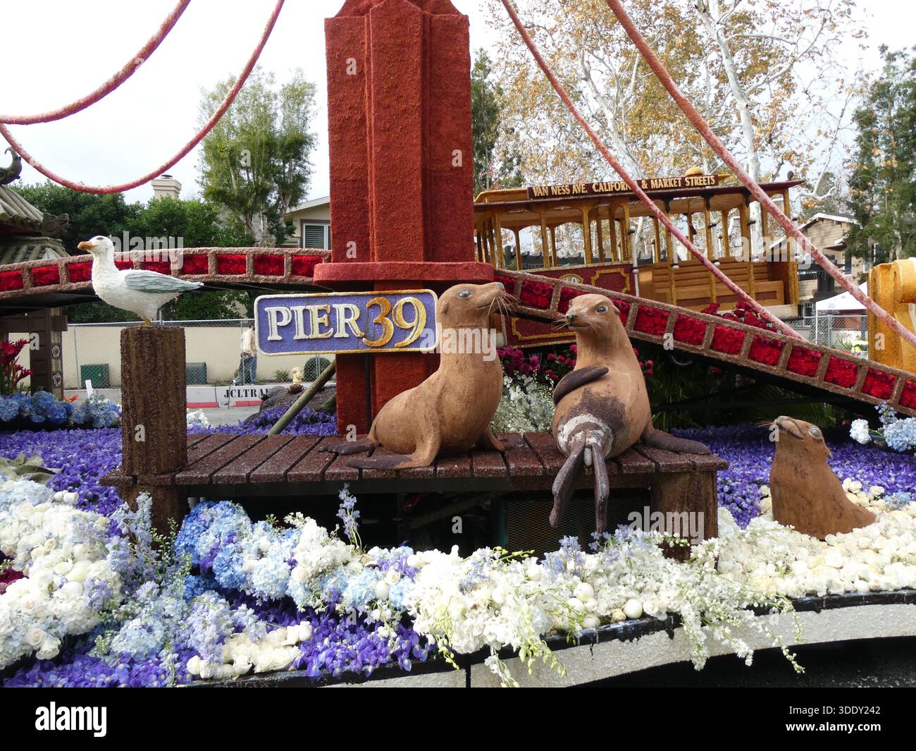 Pasadena, California, USA 3rd January 2026 Sea Lions on San Francisco ...