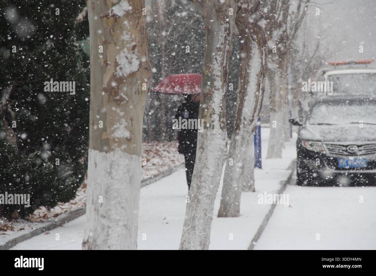 Snowflakes create a silver-white world to welcome the new year in ...