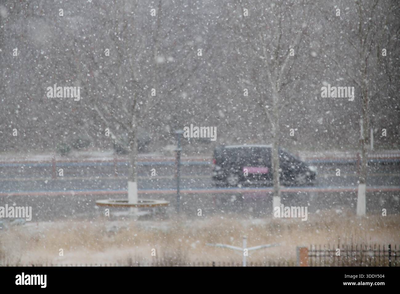 Snowflakes create a silver-white world to welcome the new year in ...
