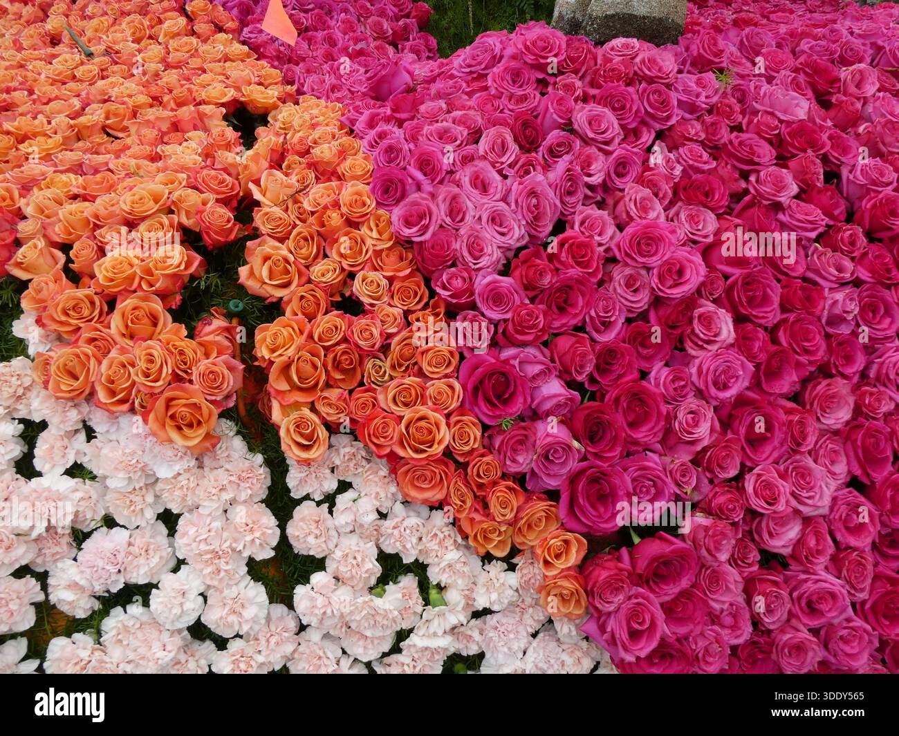 2026 rose parade hi-res stock photography and images - Alamy