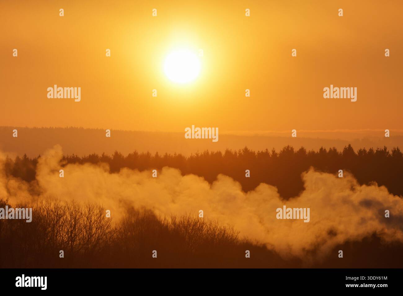 04 January 2026, Baden-Württemberg, Uttenweiler: The rising sun colors ...