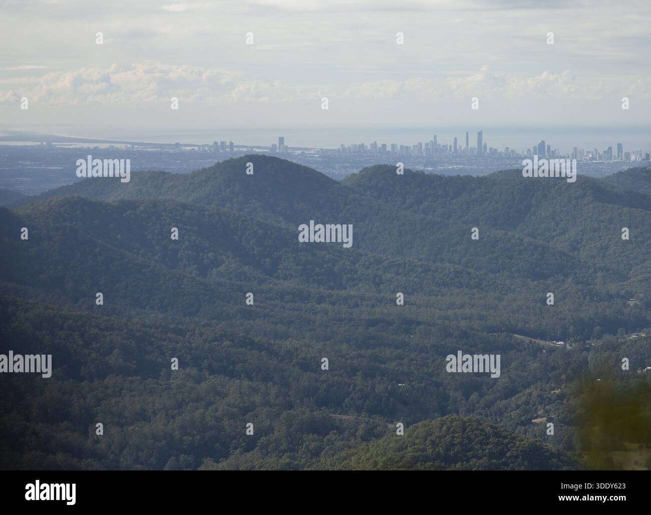 Clear blue sky with an open view over dense subtropical rain forest ...