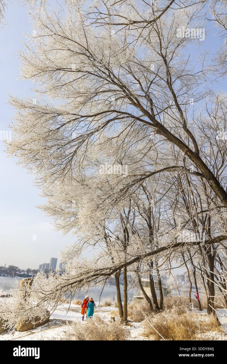 Tourists admire the rime scenery along Songhua River in Jilin City ...