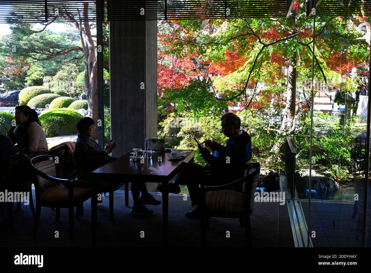 The modern garden of the Adachi Museum of Art,Matsue,Japan designed by ...