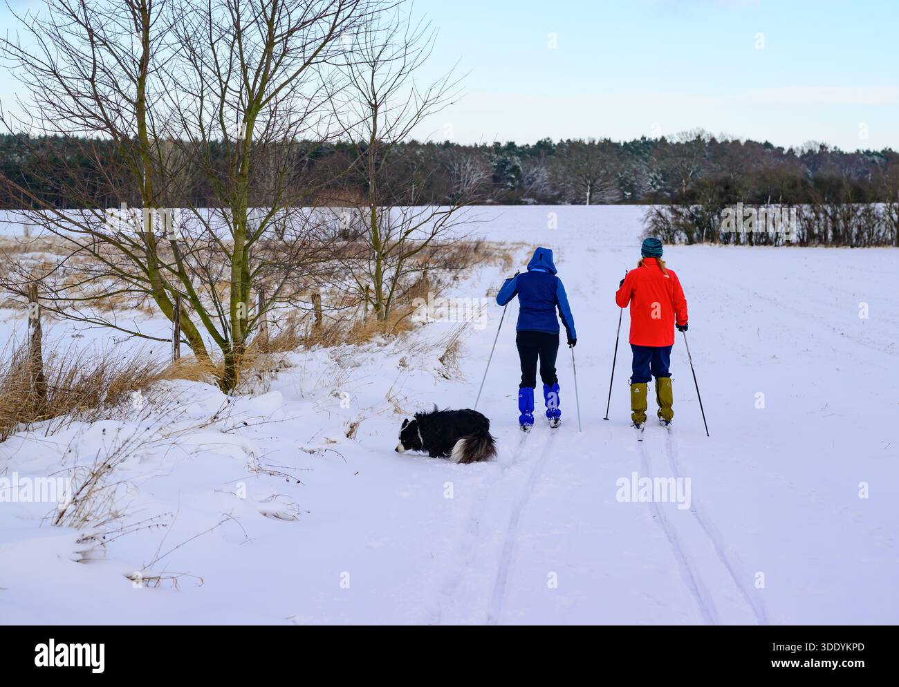 04 January 2026, Brandenburg, Sieversdorf: Two women go on a trip with ...
