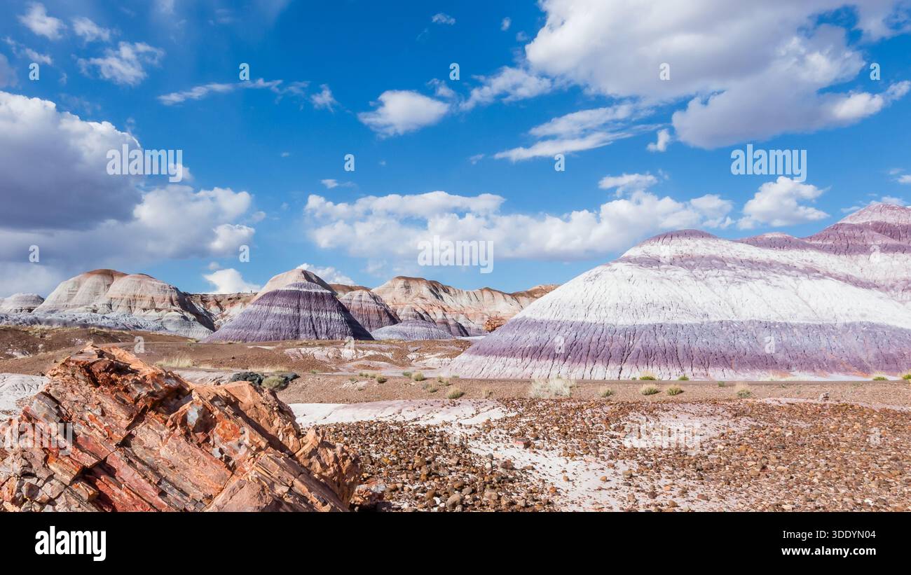 On ROUTE 66, petrified wood, bentonite clay, Blue Mesa Trail, Petrified ...