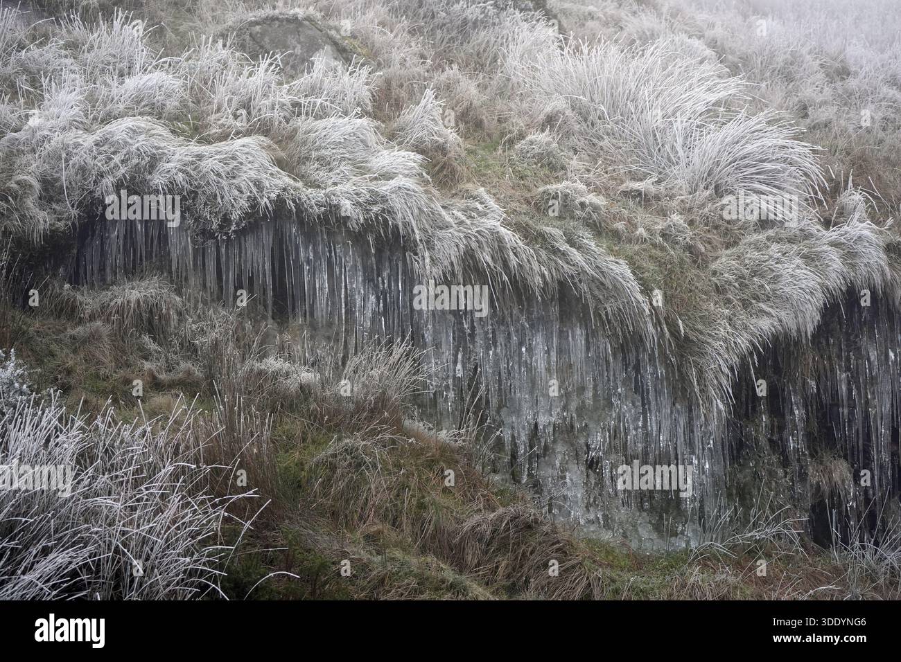 Icicles at the Wicklow Gap mountain pass in Co Wicklow as Ireland ...