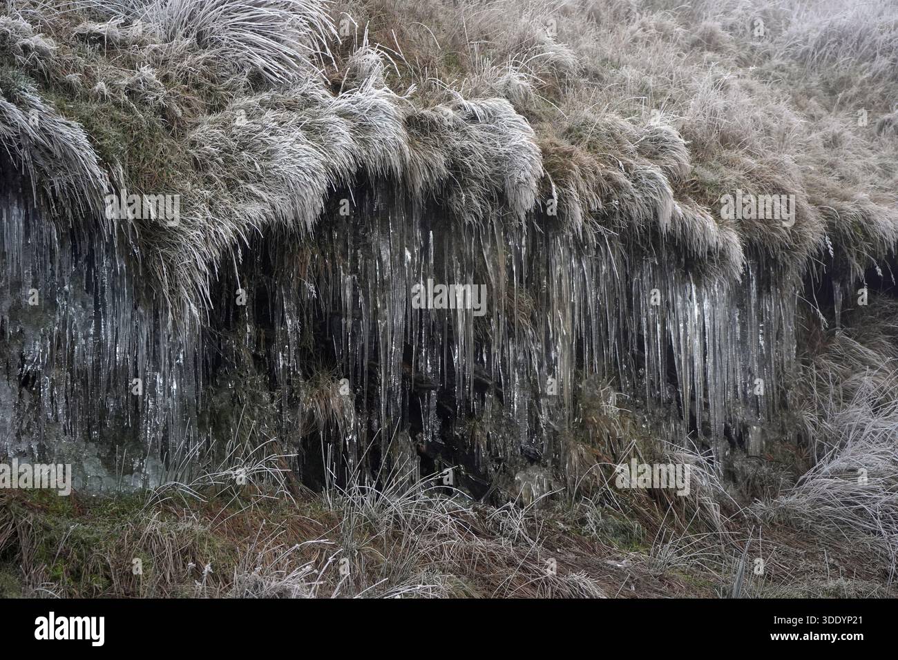 Icicles at the Wicklow Gap mountain pass in Co Wicklow as Ireland ...