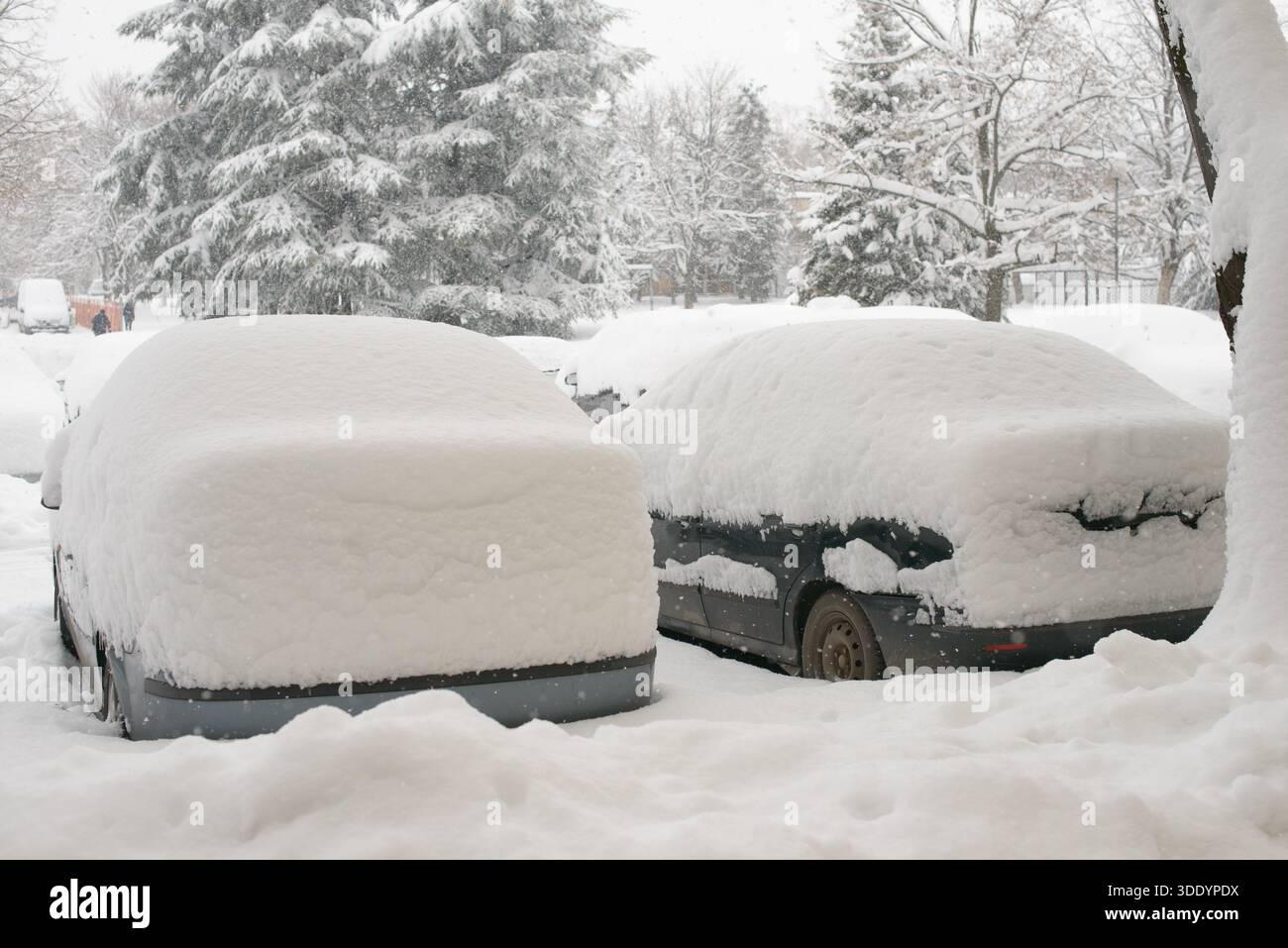 Snow covered parked cars are buried under deep snow after heavy winter ...