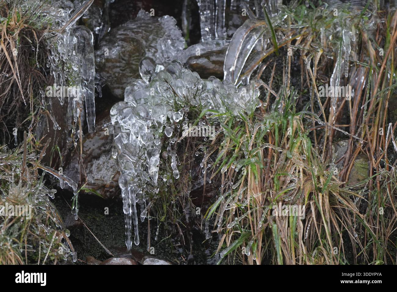 Icicles at the Wicklow Gap mountain pass in Co Wicklow as Ireland ...