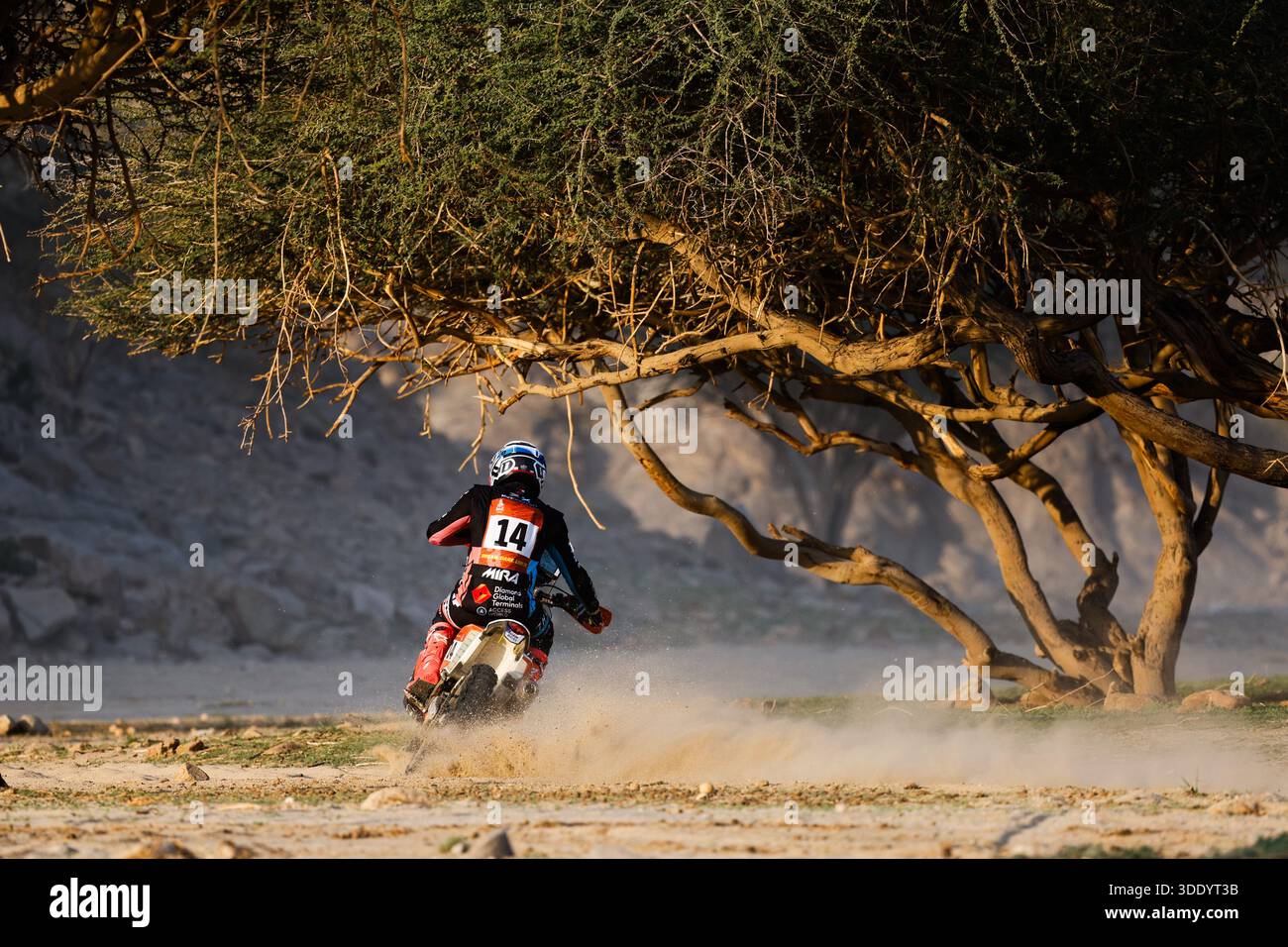 14 DOCHERTY Michael (rsa), BAS World KTM Team, KTM, Rallye 2, FIM W2RC ...