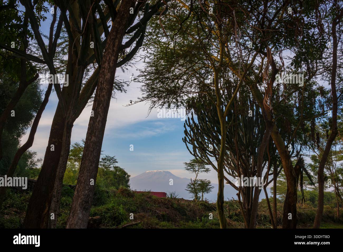 Mount Kilimanjaro, seen at Amboseli National Park, Kenya, is a large ...
