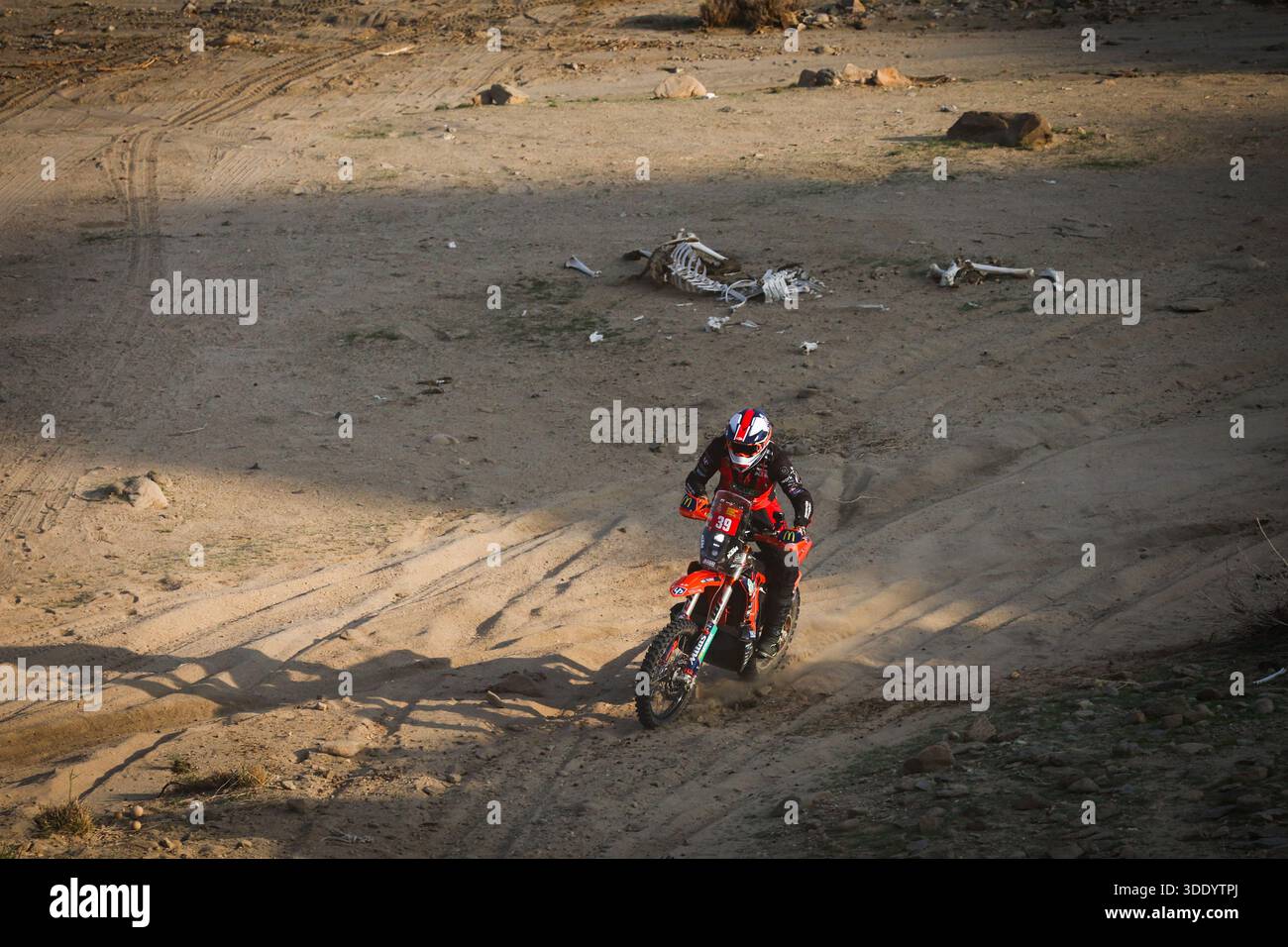 39 MELOT Benjamin (fra), Esprit KTM, KTM, Rallye 2, FIM W2RC, action ...