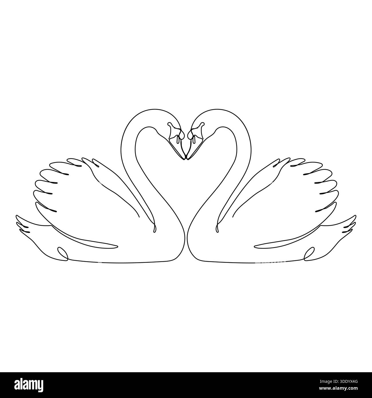 Swans heart necks Black and White Stock Photos & Images - Alamy