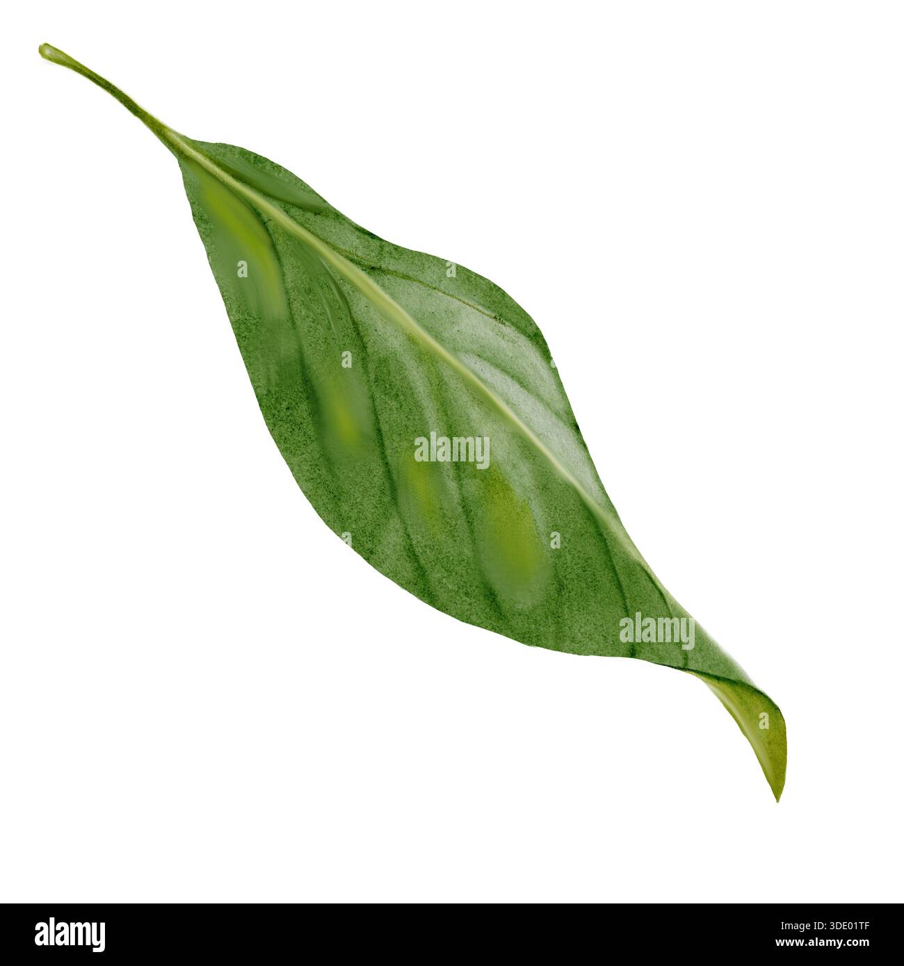 Store cleanliness Cut Out Stock Images & Pictures - Alamy