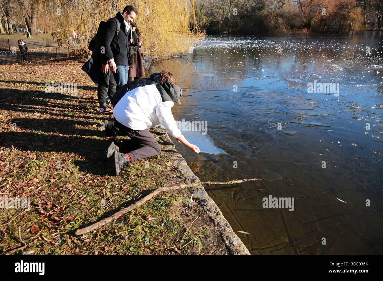 London, UK. 04 January 2026. UK Weather: In St James’s Park, Londoners ...