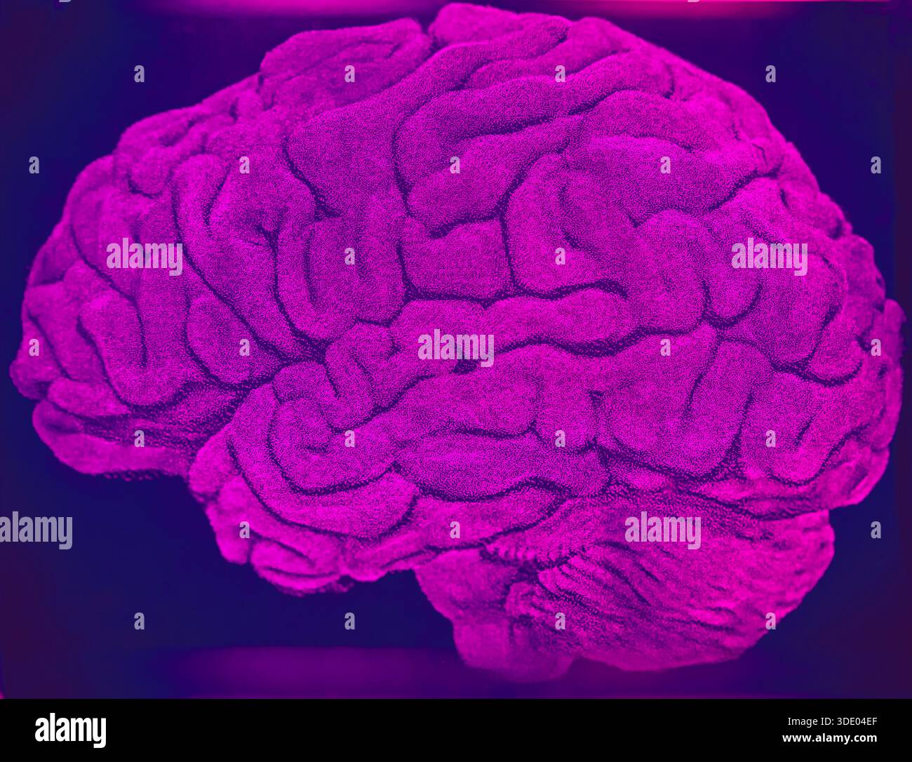Digital brain glowing purple on a dark backdrop. Novel synthetic minds ...