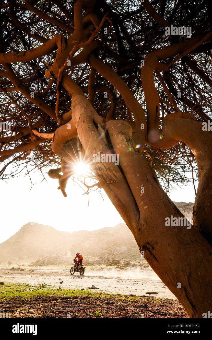 39 MELOT Benjamin (fra), Esprit KTM, KTM, Rallye 2, FIM W2RC, action ...