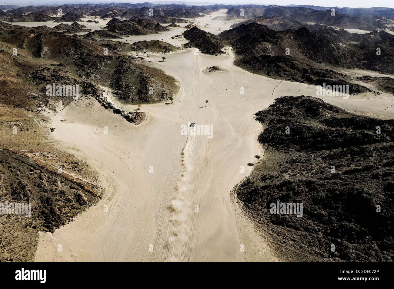 219 LOEB Sebastien (fra), BOULANGER Edouard (fra), Loeb, The Dacia ...