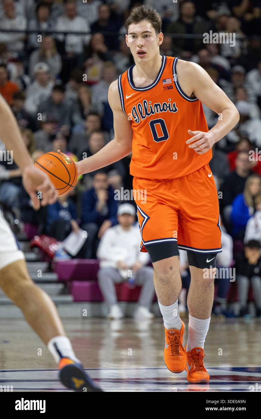Illinois forward David Mirkovic (0) in action during an NCAA college ...