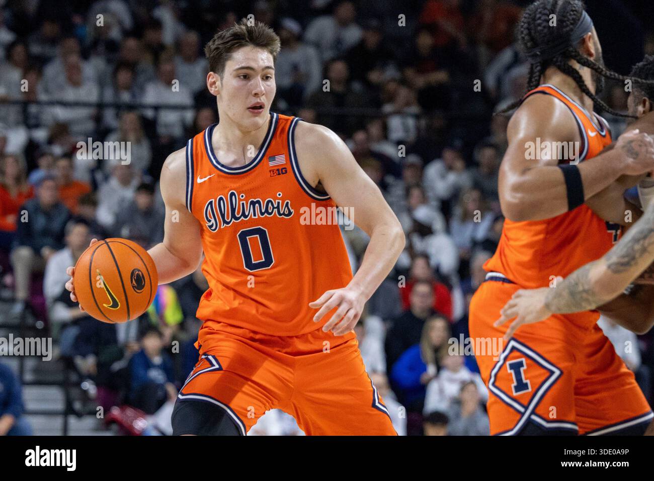 Illinois forward David Mirkovic (0) in action during an NCAA college ...