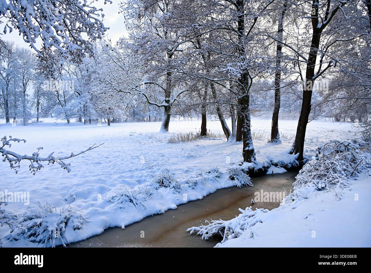 Winterlandschaft in Kirchwerder, Hamburg, Deutschland *** Winter ...