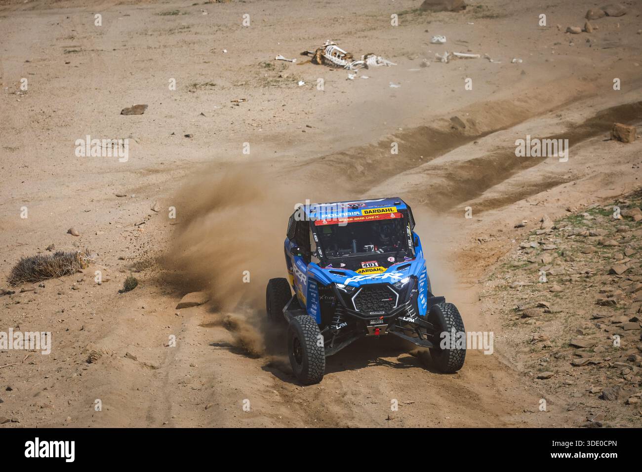 401 HEGER Brock (usa), EDDY Max (usa), Loeb Fraymedia Motorsport – RZR ...