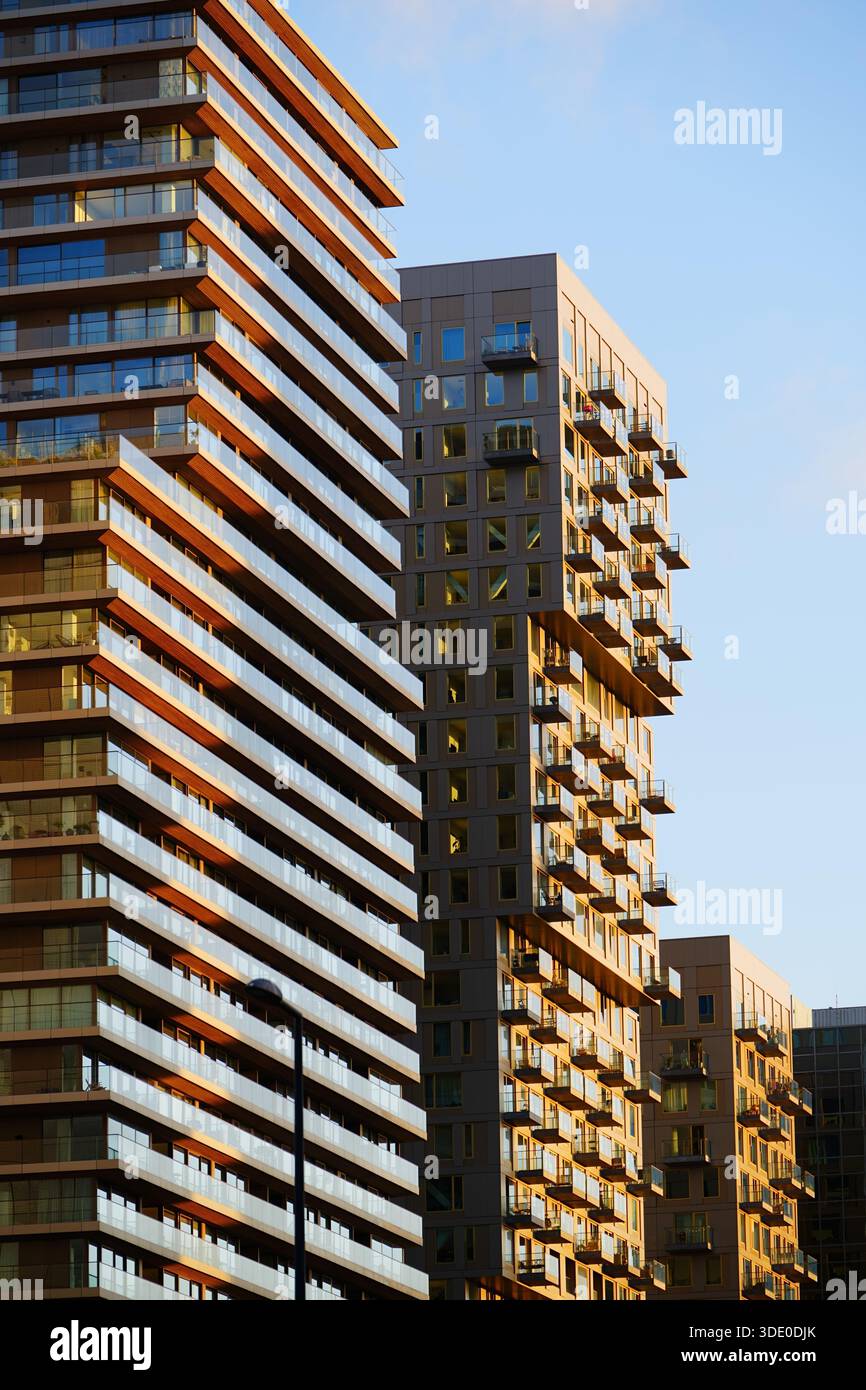 Two modern residential towers illuminated by golden sunset light ...