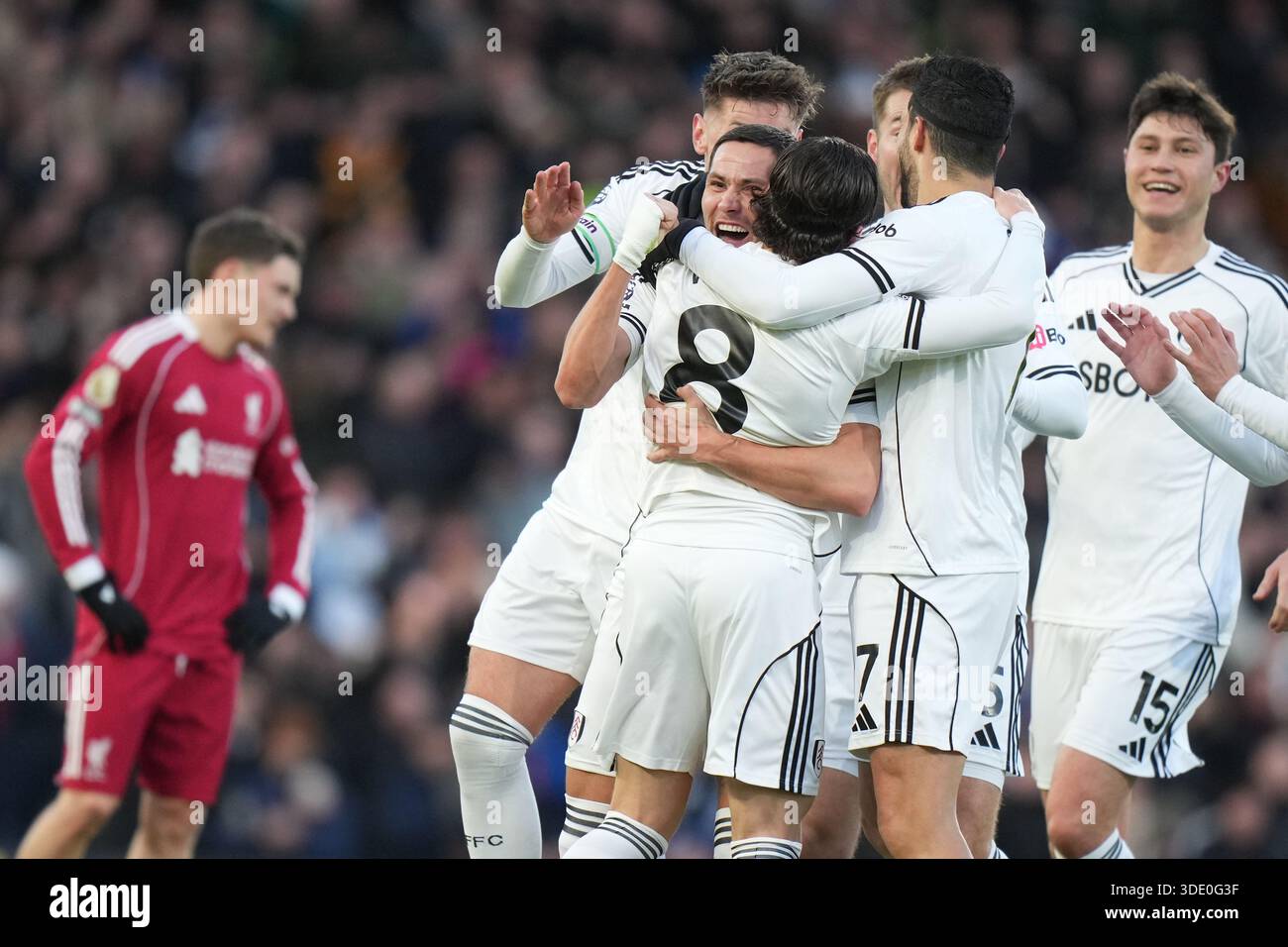 Fulham's Harry Wilson, number 8, celebrates after scoring his side's ...