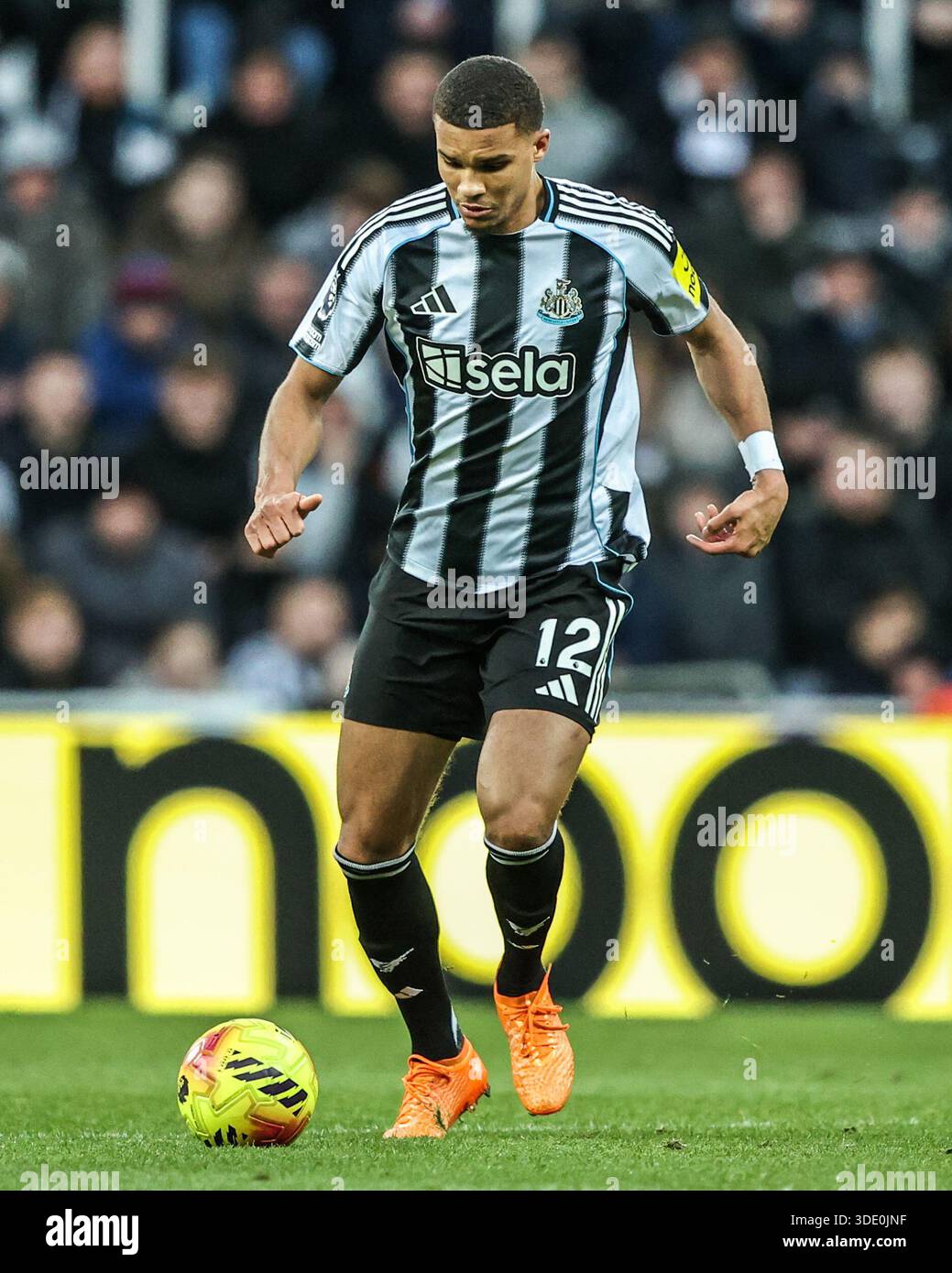 Malick Thiaw of Newcastle United during the Premier League match ...