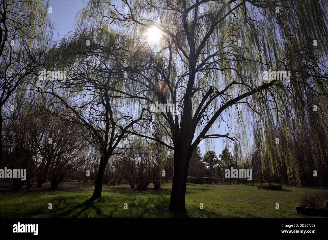The wind in the willows hi-res stock photography and images - Alamy