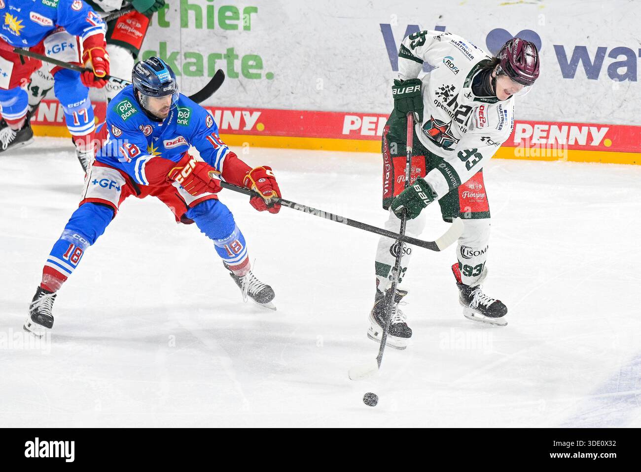 Eishockey DEL2 - 25/26 - 31.Spieltag: Düsseldorfer EG vs Star Bulls ...