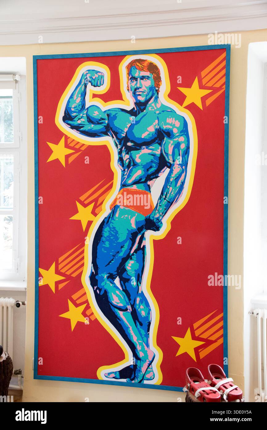 The house where superstar Arnold Schwarzenegger was born in the village ...
