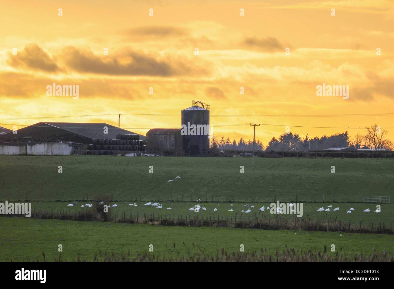 Northern ireland weather jan 2026 hi-res stock photography and images ...