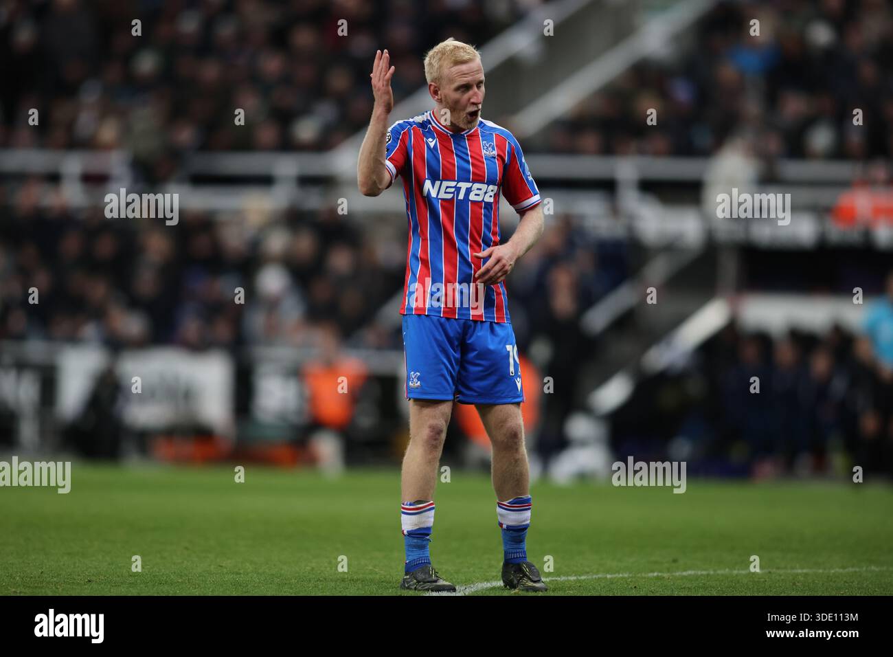 Will Hughes of Crystal Palace gestures during the Premier League match ...