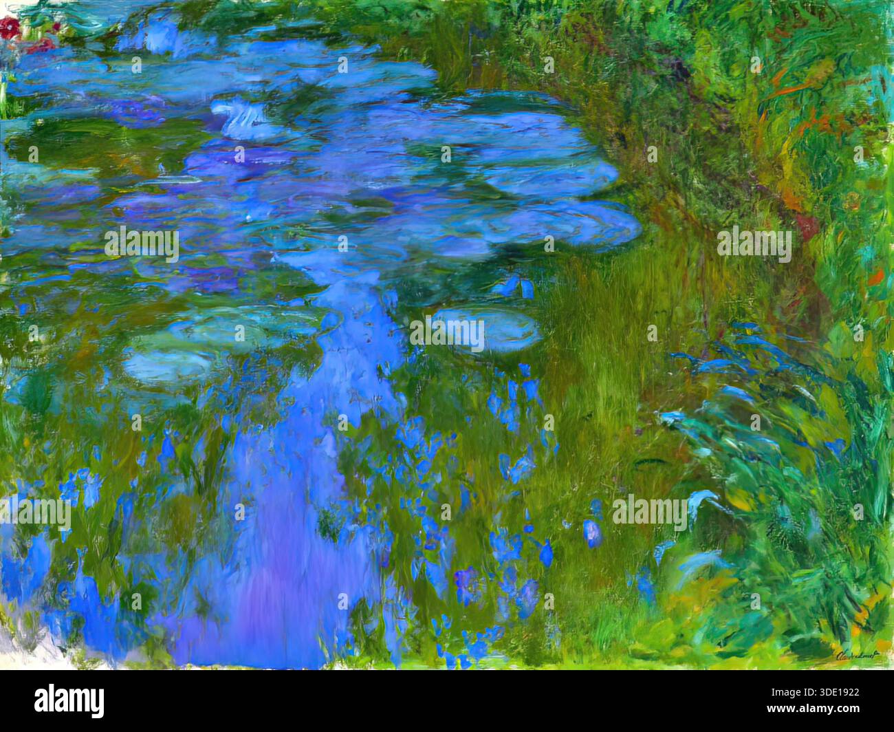 Nympheas water landscape Stock Vector Images - Alamy