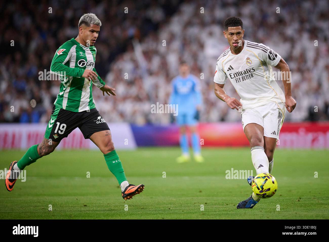 Real Madrid CF’s Jude Bellingham (r) and Real Betis Balompie's Cucho ...