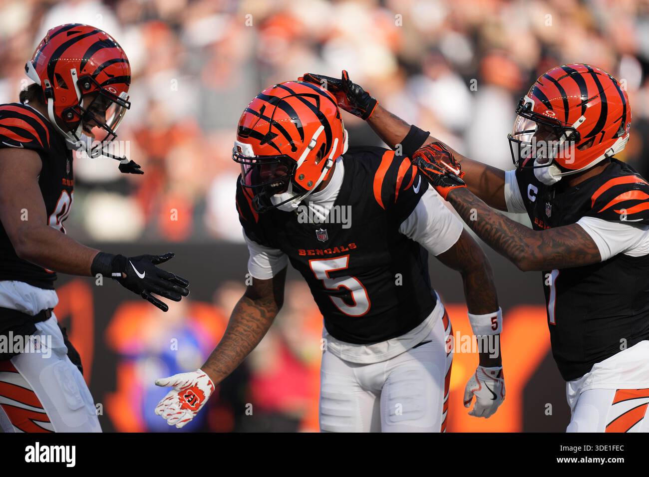 Cincinnati Bengals wide receiver Tee Higgins (5) is congratulated by ...