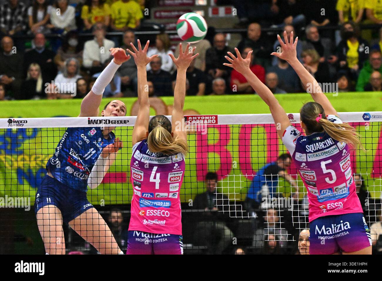 Isabelle Haak ( Prosecco DOC A.Carraro Imoco Volley Stock Photo - Alamy