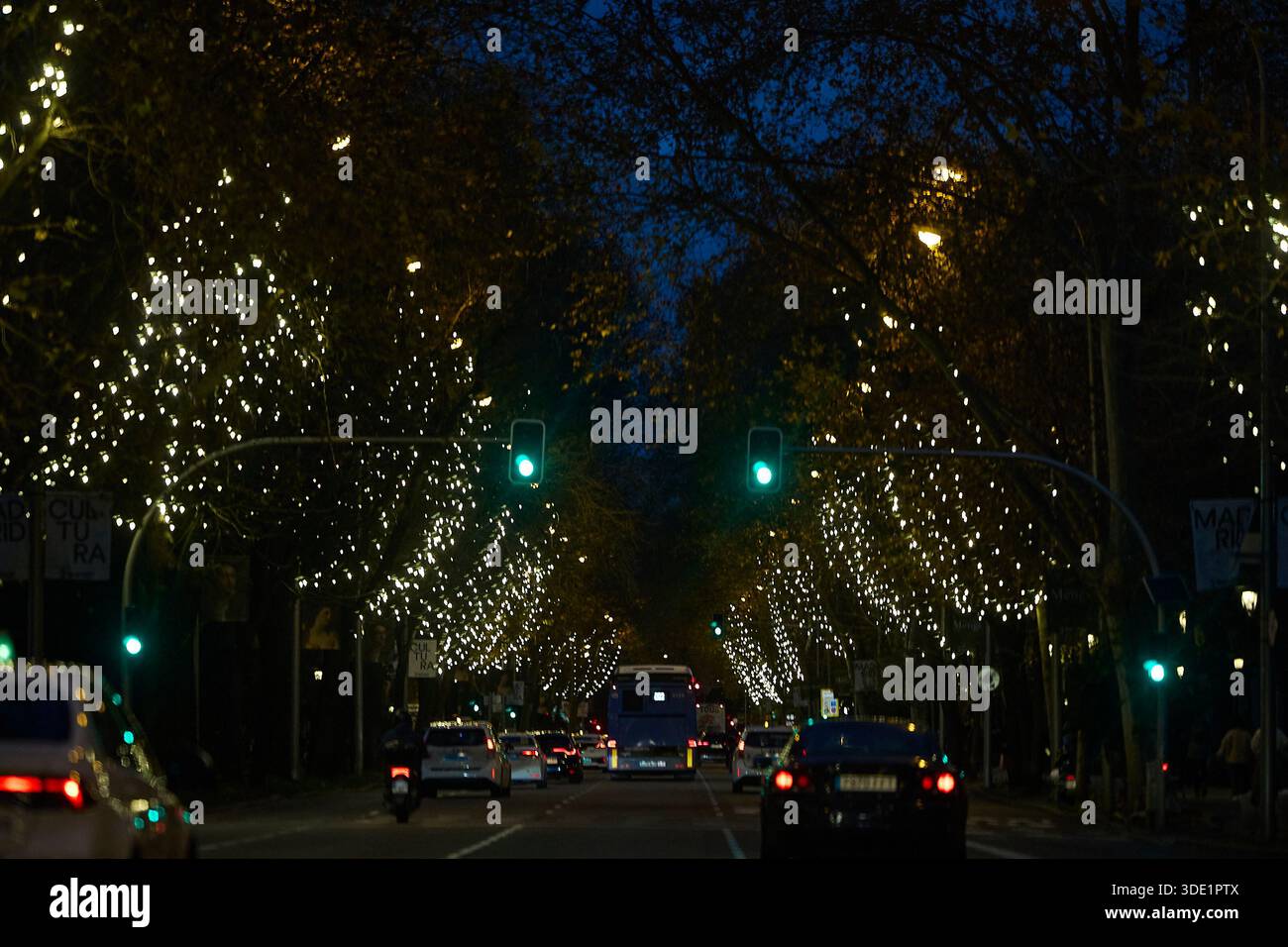 Christmas lighting on the Paseo del Prado, on January 4, 2026, in ...