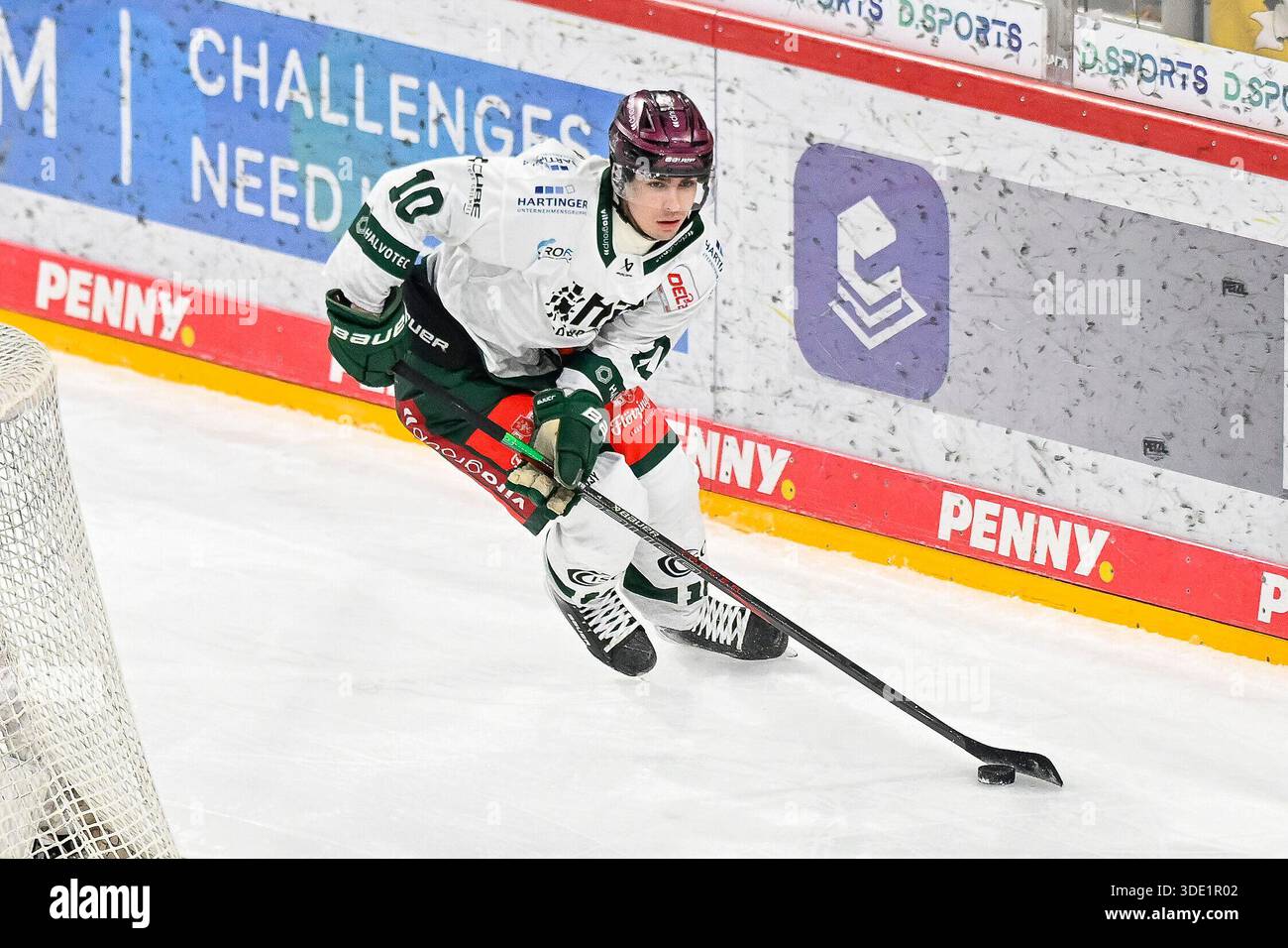 Eishockey DEL2 - 25/26 - 31.Spieltag: Düsseldorfer EG vs Star Bulls ...