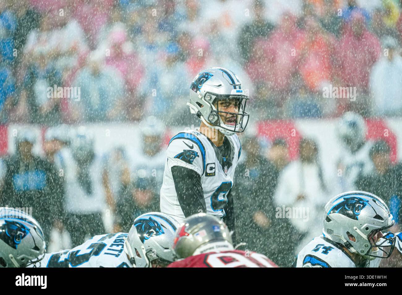 Tampa Bay, Florida, USA, January 3, 2026, Carolina Panthers quarterback ...