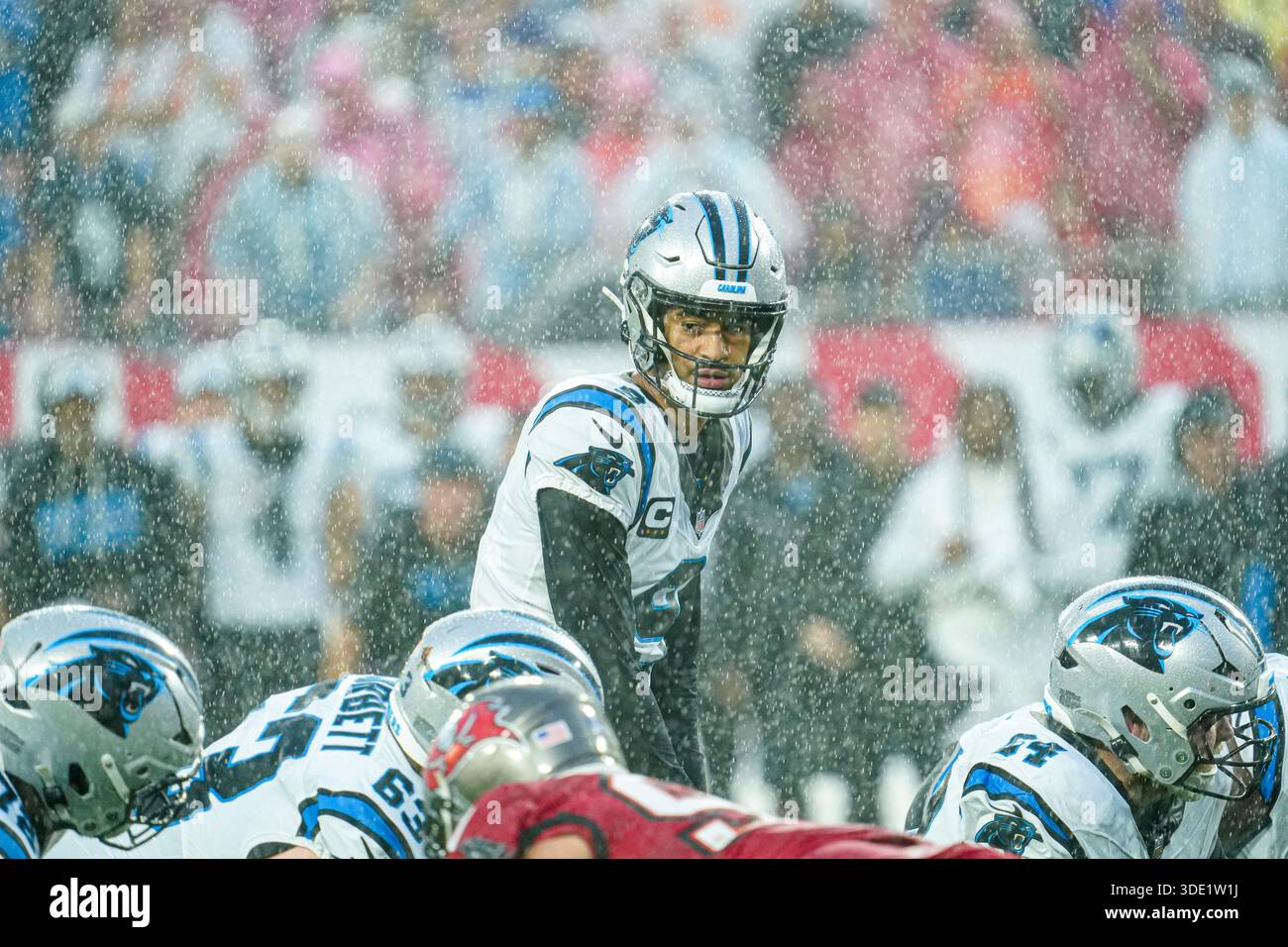 Tampa Bay, Florida, USA, January 3, 2026, Carolina Panthers quarterback ...
