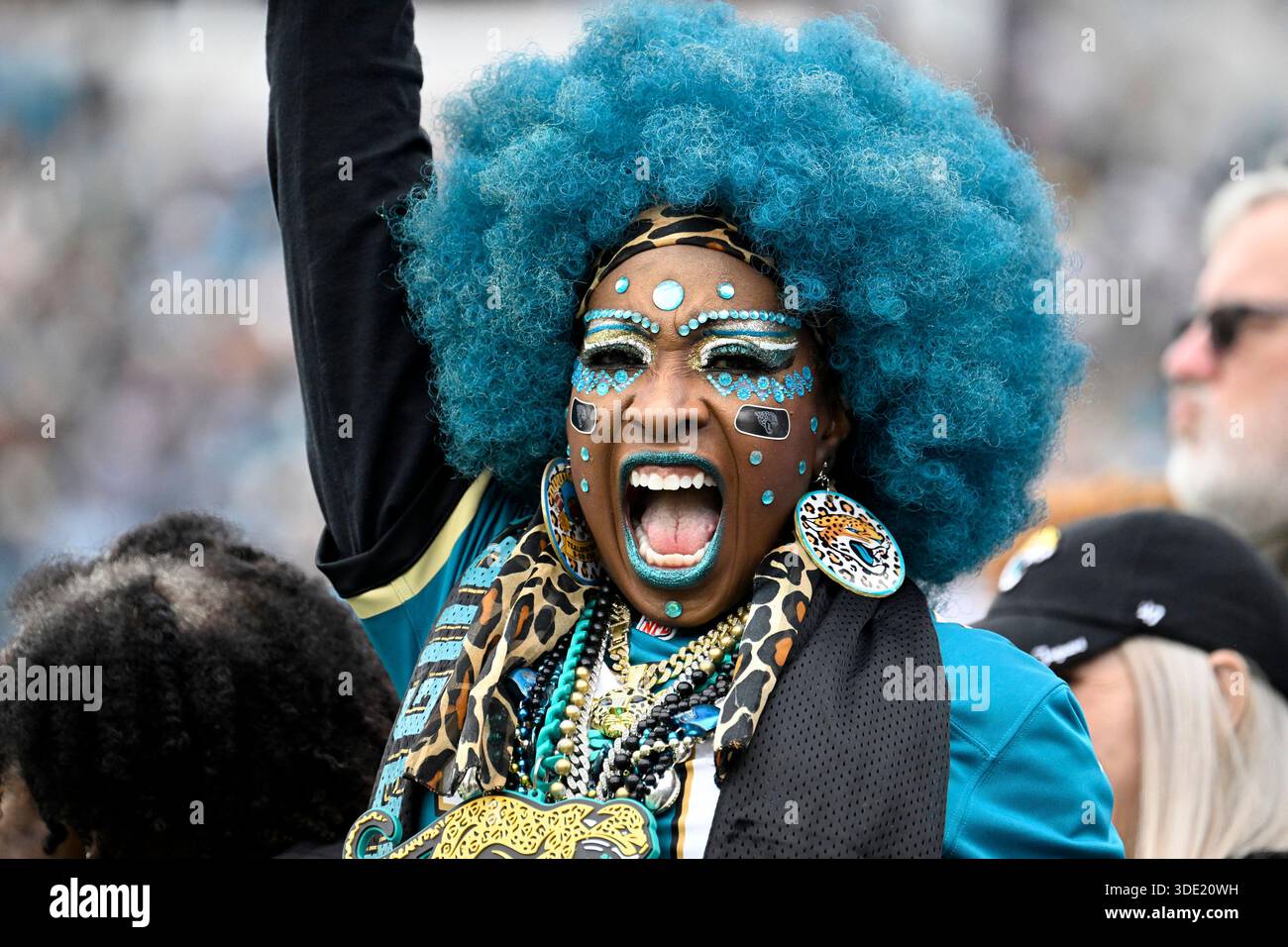 A Jaguars fan cheers on her team as the Jaguars compete against the ...
